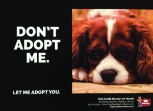 Mike Tesch - Creative Hall of Fame | Creative Hall of Fame